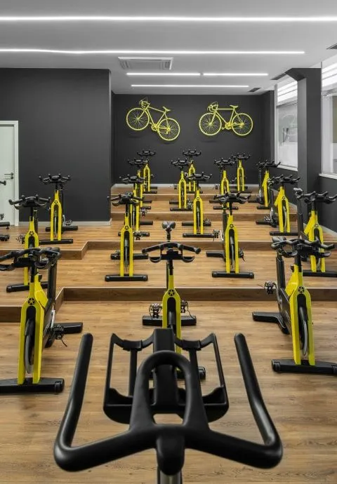 Phive — It's not just fitness. It's living fully